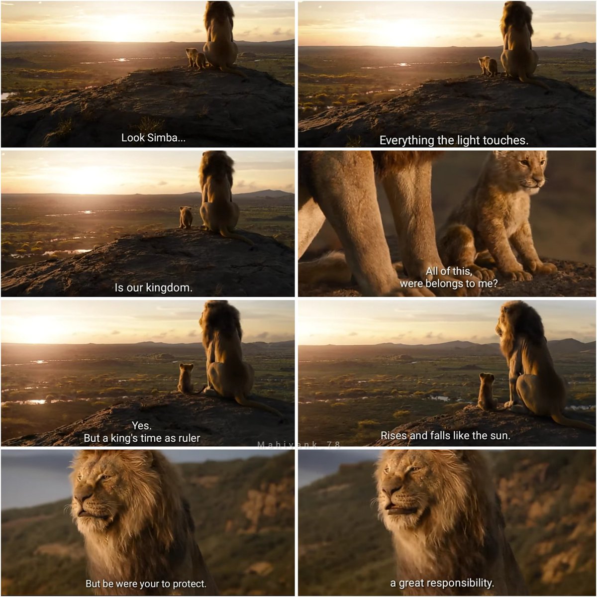 Simba And Mufasa Everything The Light Touches