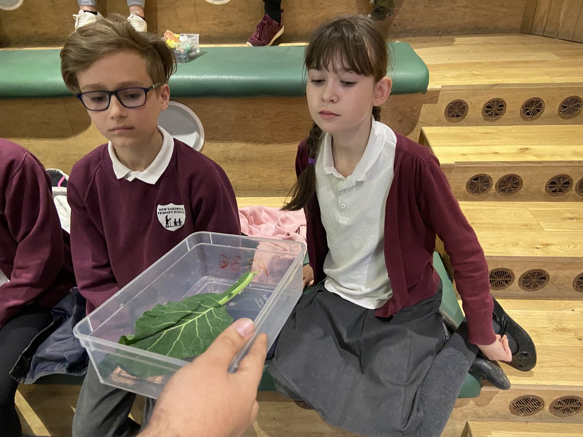 New Earswick Primary School – To have the best, to do our best, to be ...