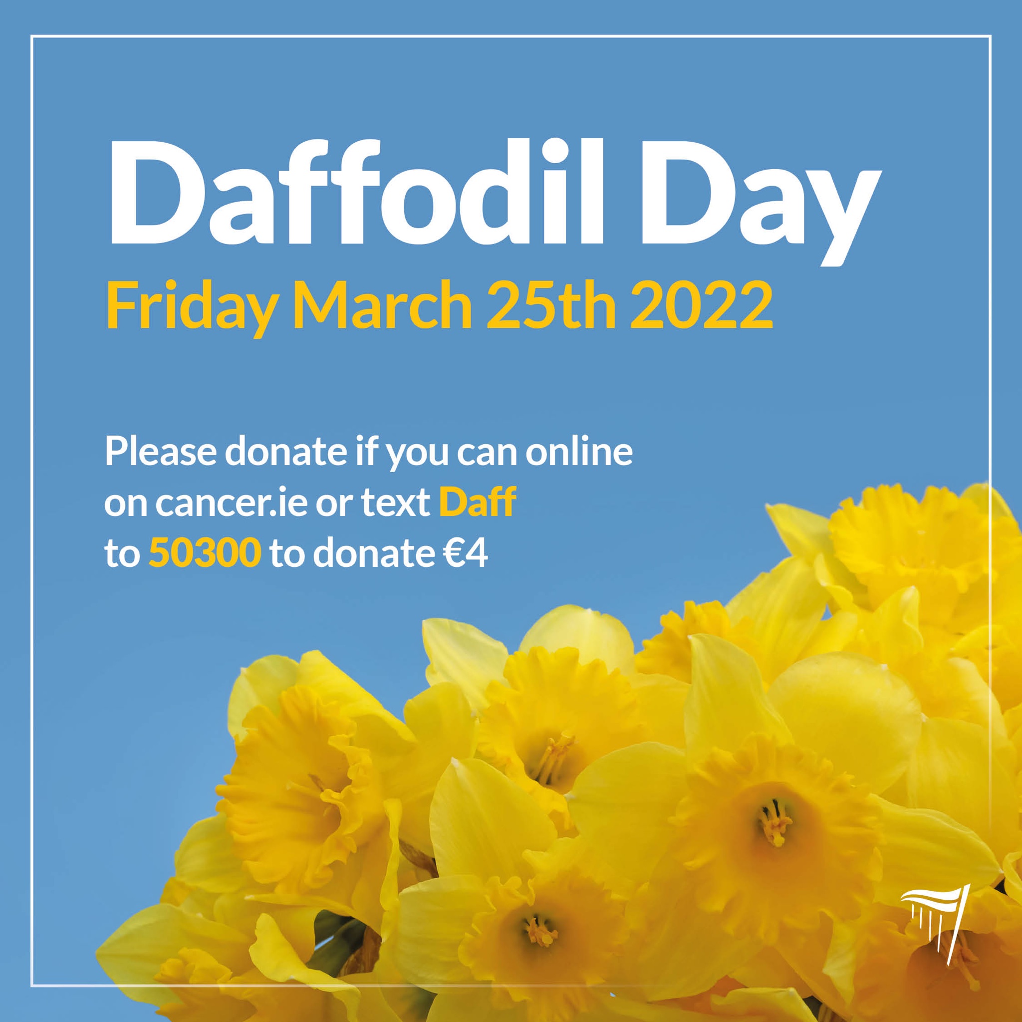 Daffodil Day Memes