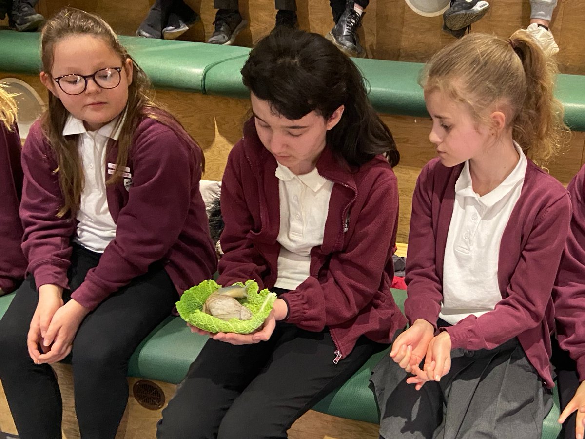 New Earswick Primary School – To have the best, to do our best, to be ...