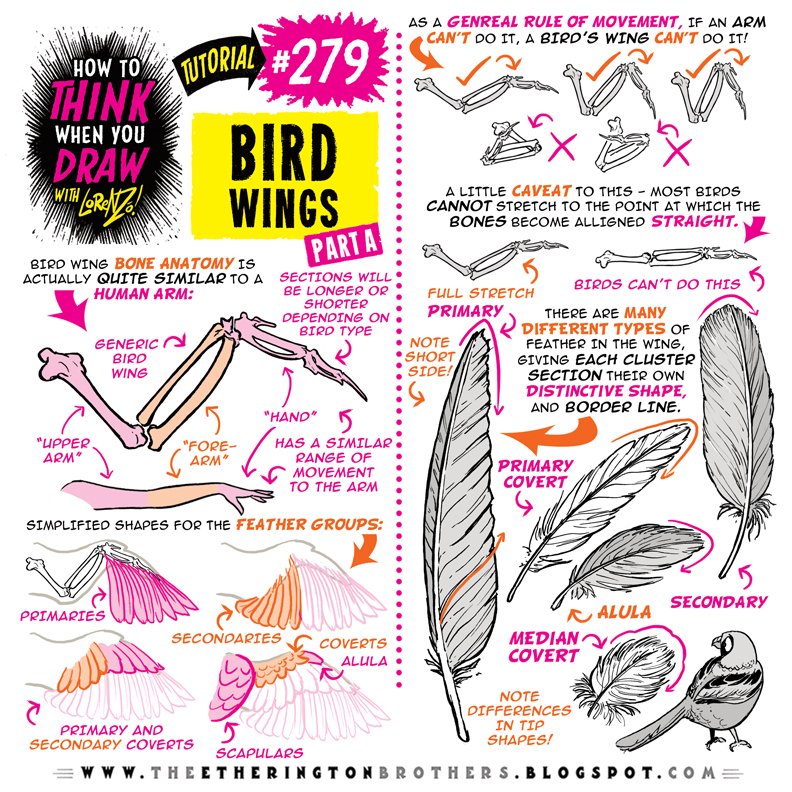 EtheringtonBrothers on Twitter: EtheringtonBrothers on Twitter: