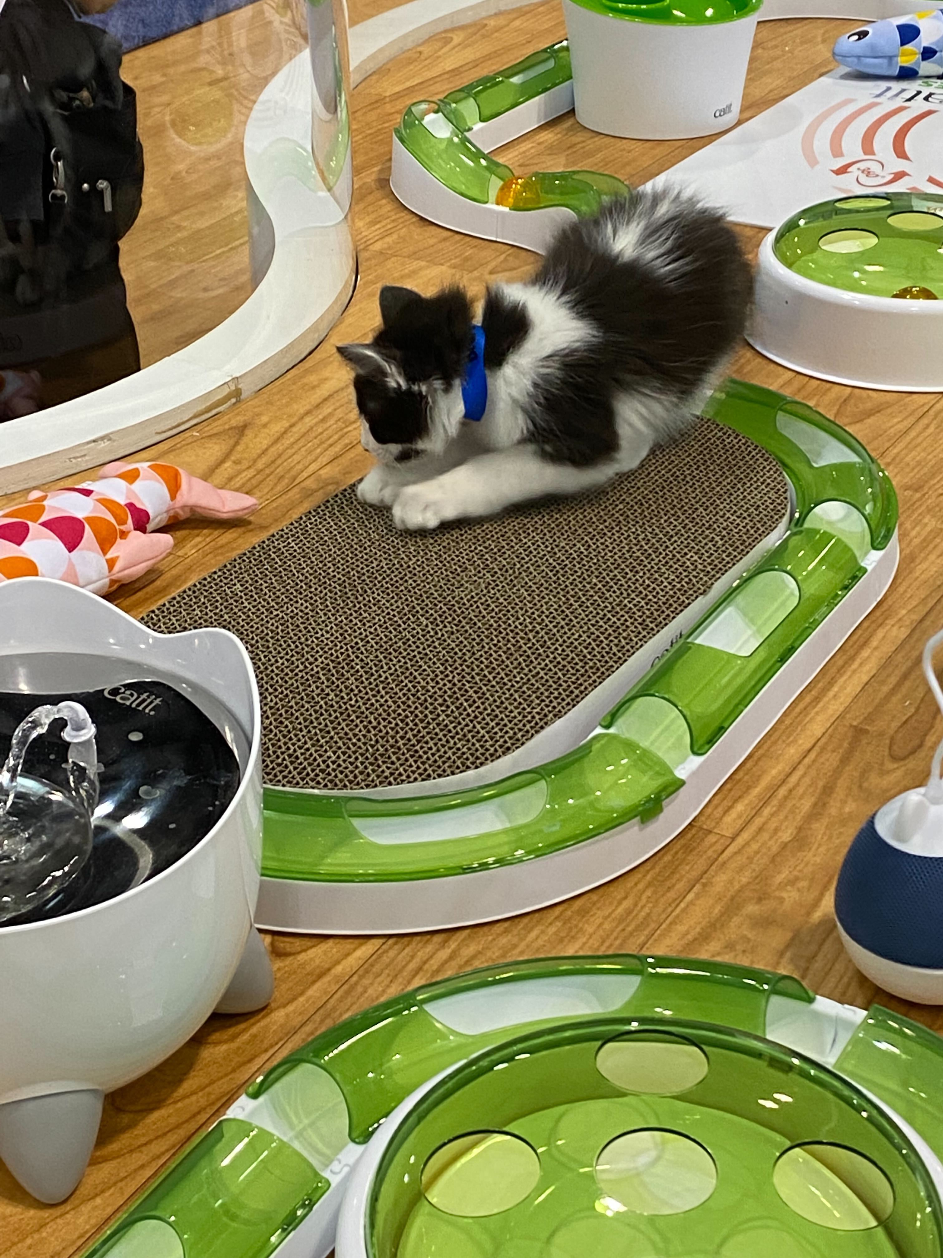 Rolf C Hagen Inc (@RolfC_Hagen_Inc) / Twitter