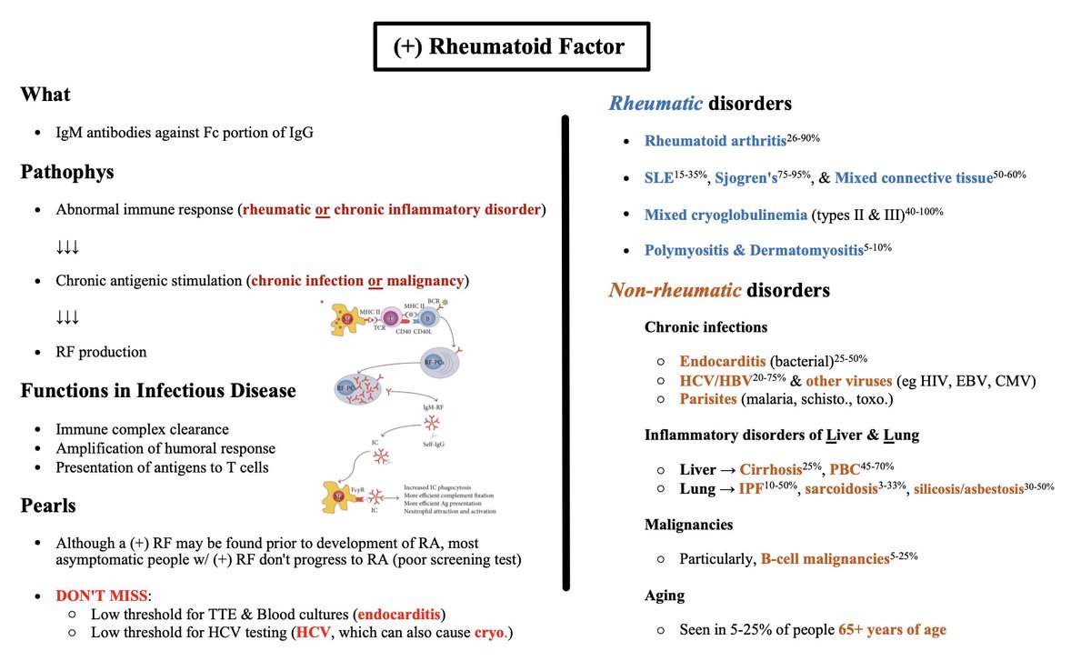Approach to a (+) Rheumatoid Factor (RF)! As we've all heard, RF is ...