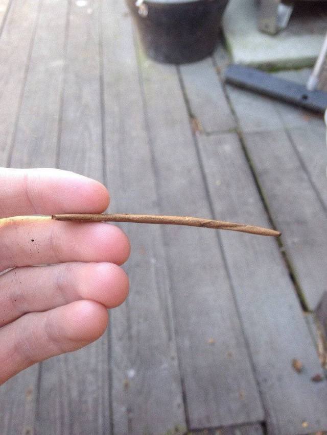 Small Blunt Memes Small Scale I Am Blunt Because That's Ho