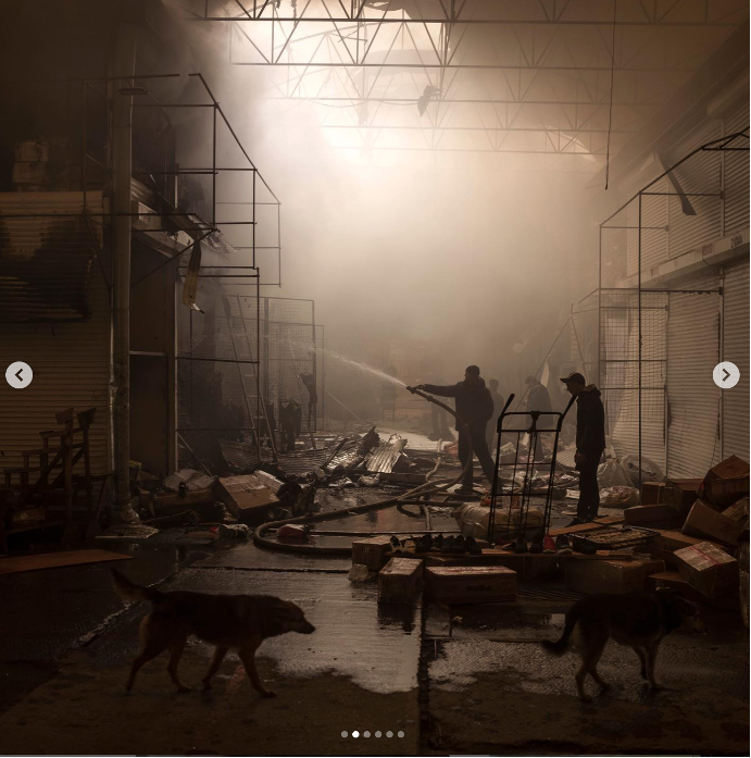 Stalker Tarkovsky Dog