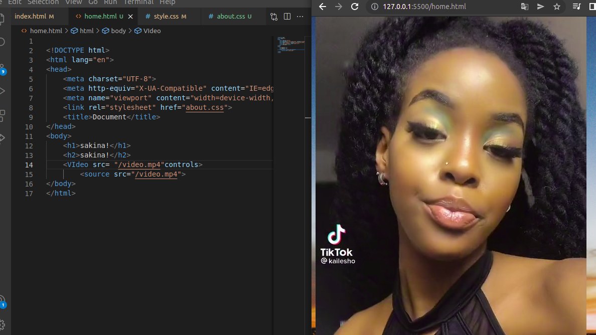 Sakina Isa on Twitter: "Day 15 of #100DaysOfCode today I managed to insert a video on my website ...