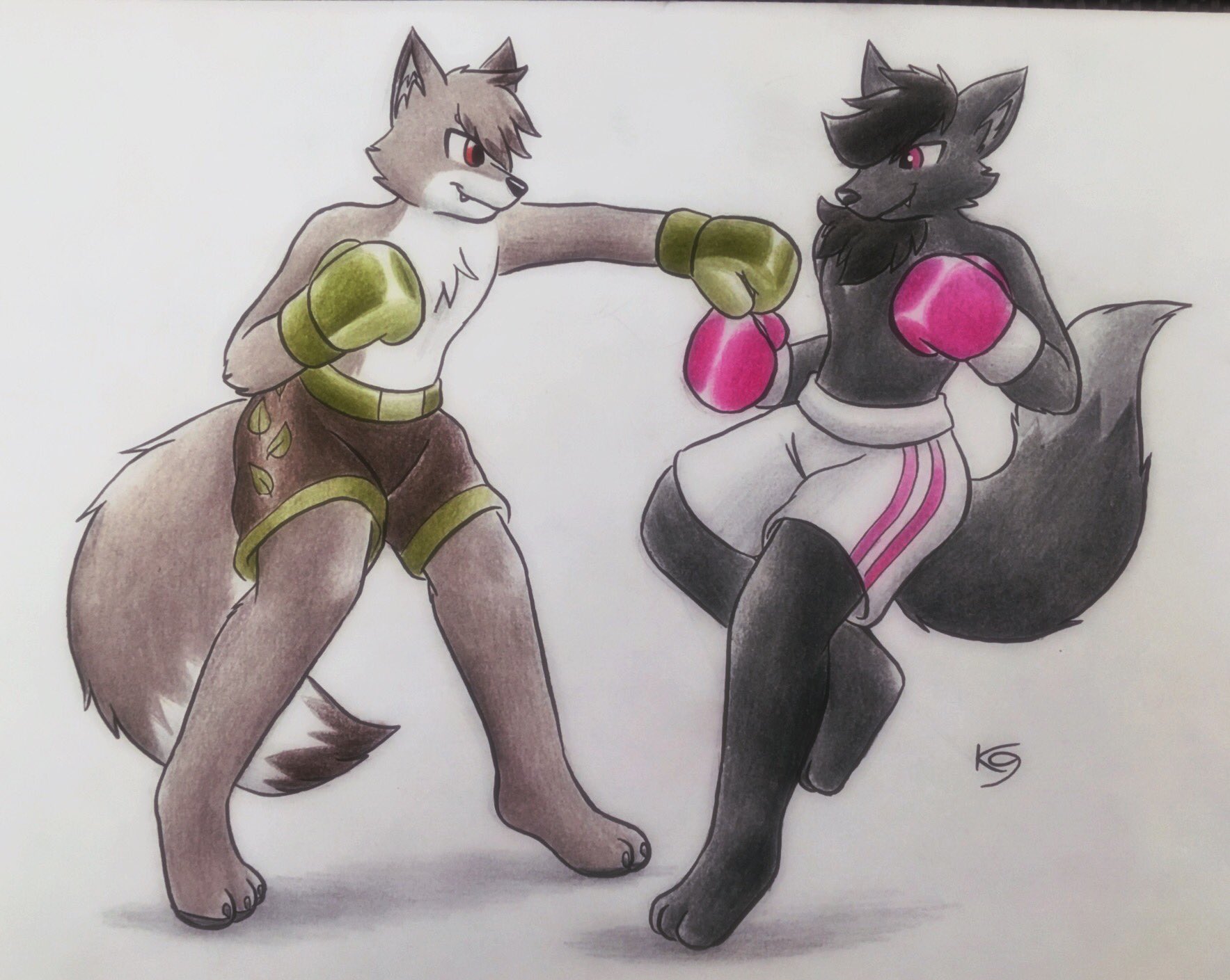 The K9 Empire - (COMMISSIONS OPEN) on Twitter: "An intense boxing match between friends ...