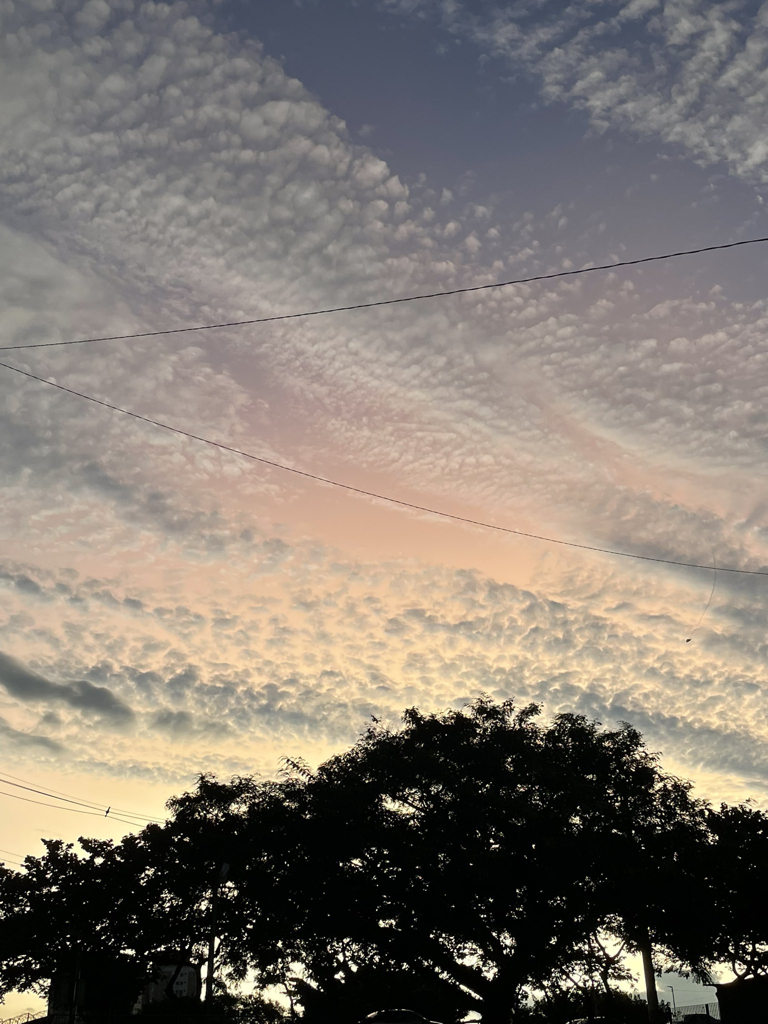 Arthur Arroyo on Twitter: "Altocumulus https://t.co/HI6fhtHYUf" / Twitter