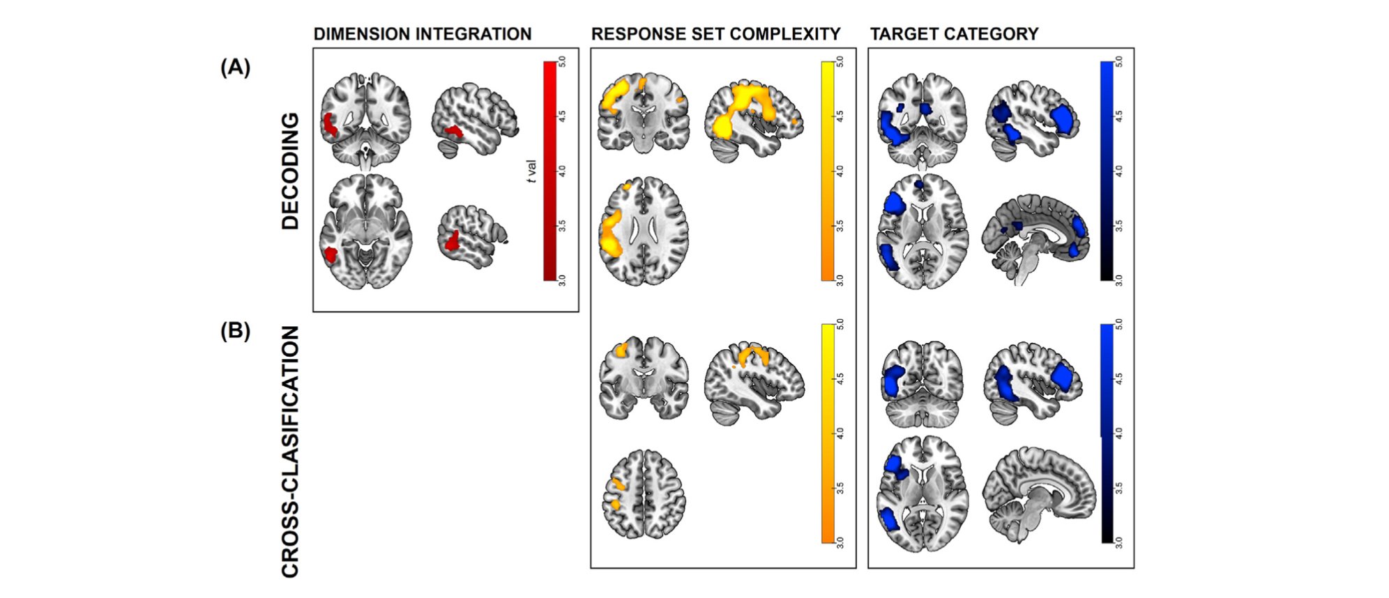 CORTEX on Twitter: "The effect of task demands on the neural patterns generated by novel ...