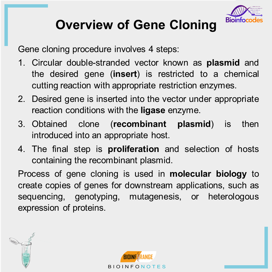 An Overview Of Gene Cloning