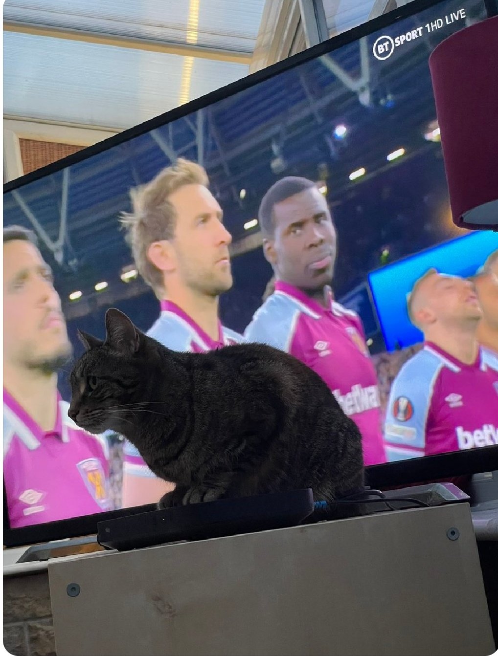 Simphiwe (@Simphiw96121200) / Twitter