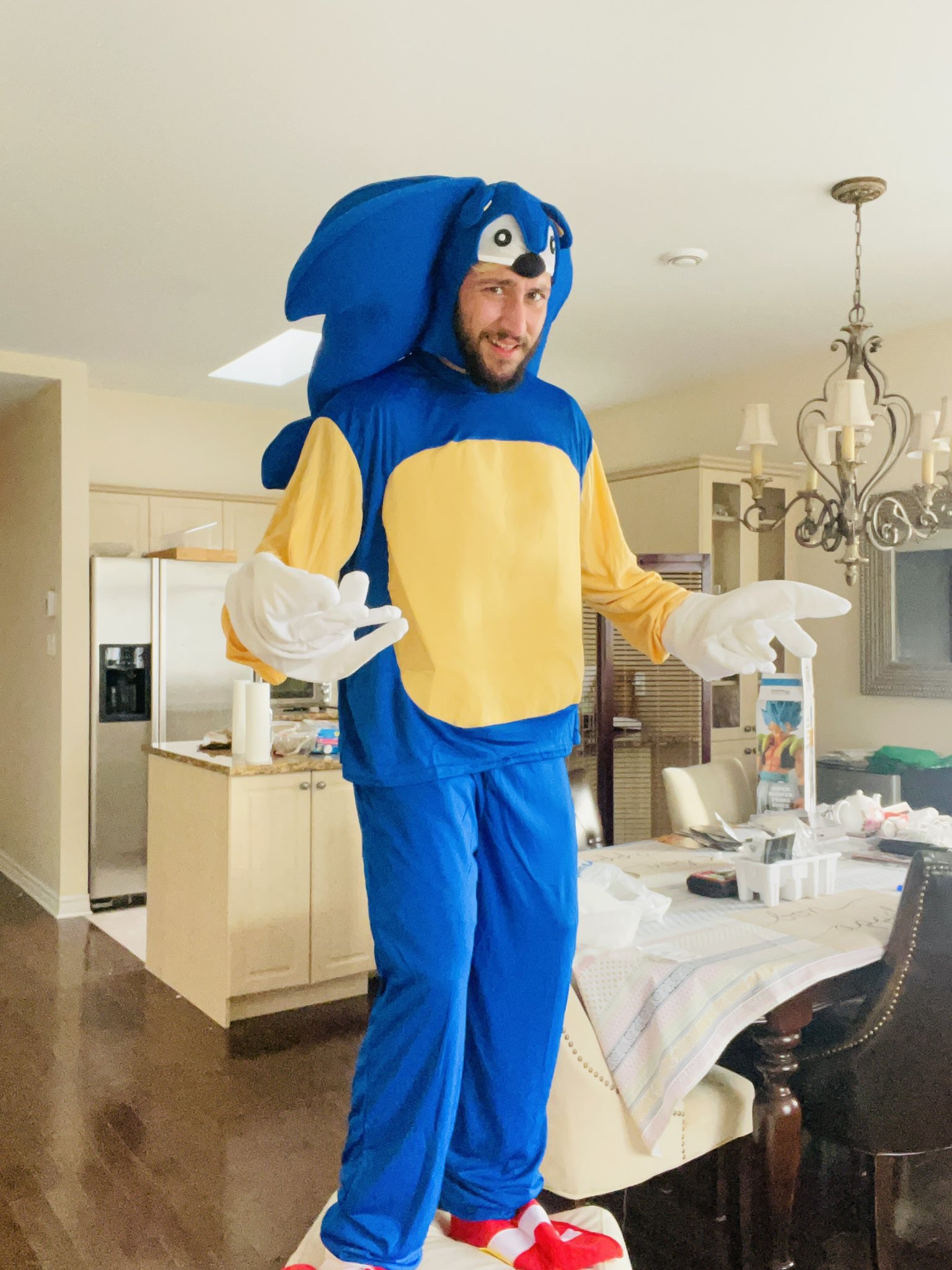 Sonic The Hedgehog Costume Homemade