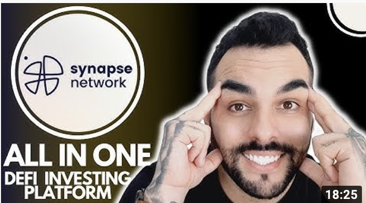 Synapse Network on Twitter: "Synapse Network review made by @moneyninjas12 🥷🏻 Check out details ...