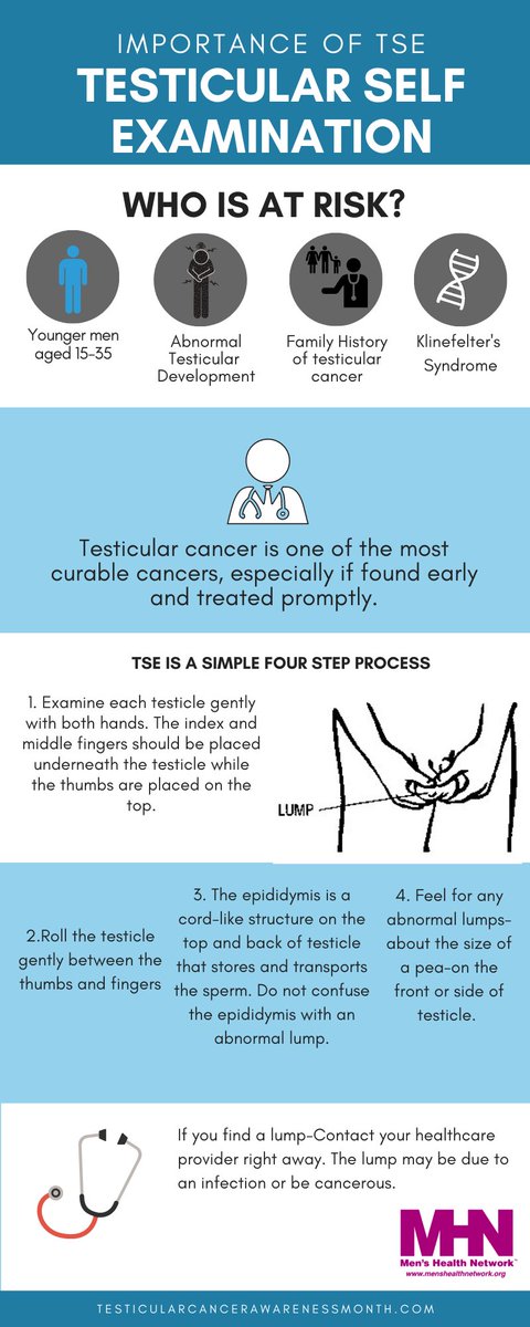Testicular Self Exam Steps