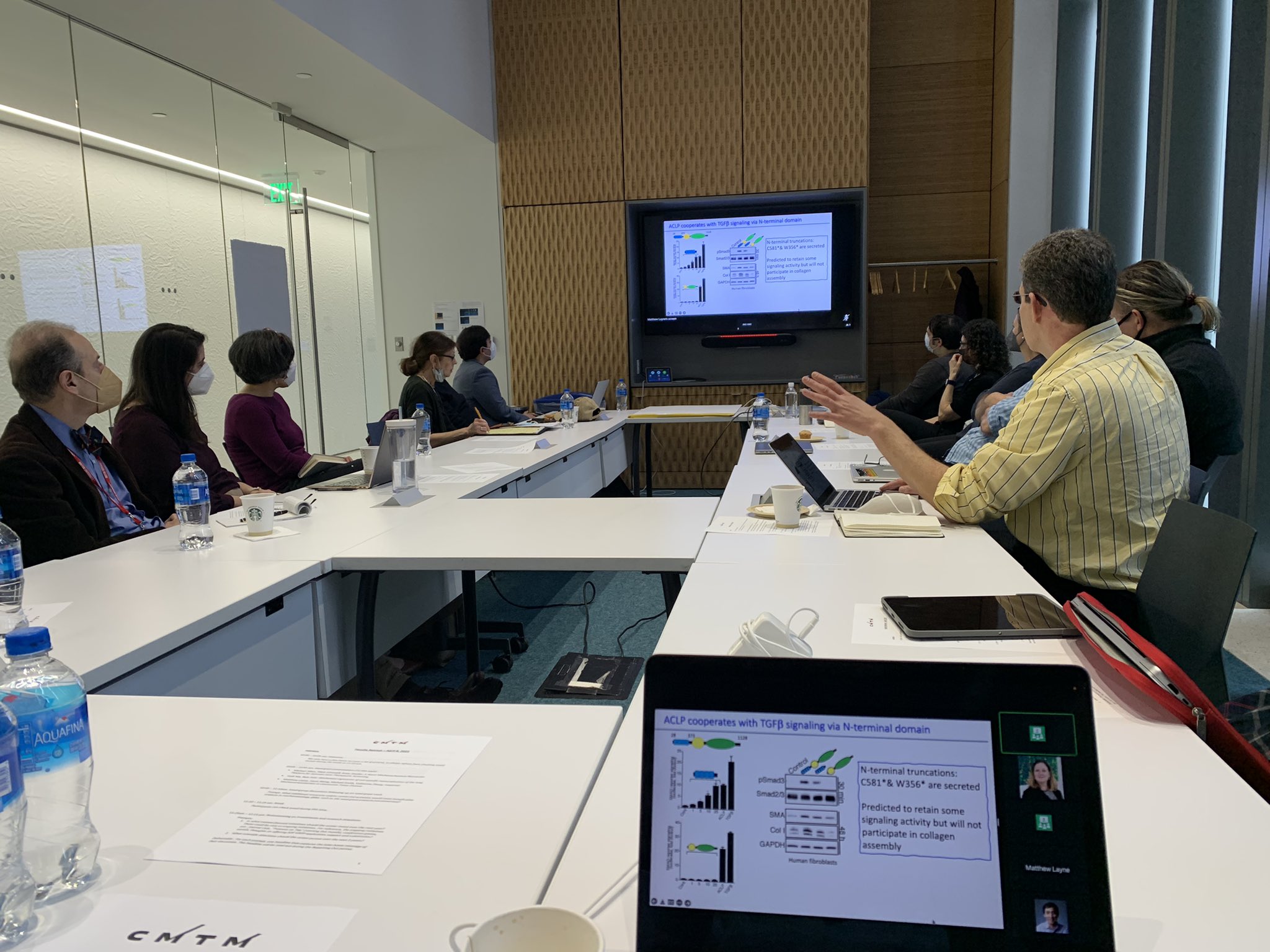 Divieti Pajevic_Lab (@PDP_Lab) / Twitter