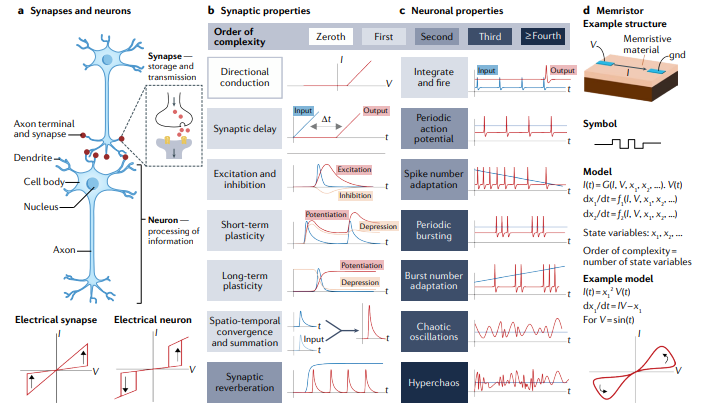 Natrevmaterials On Twitter Dynamical Memristors For Higher Complexity Neuromorphic Computing
