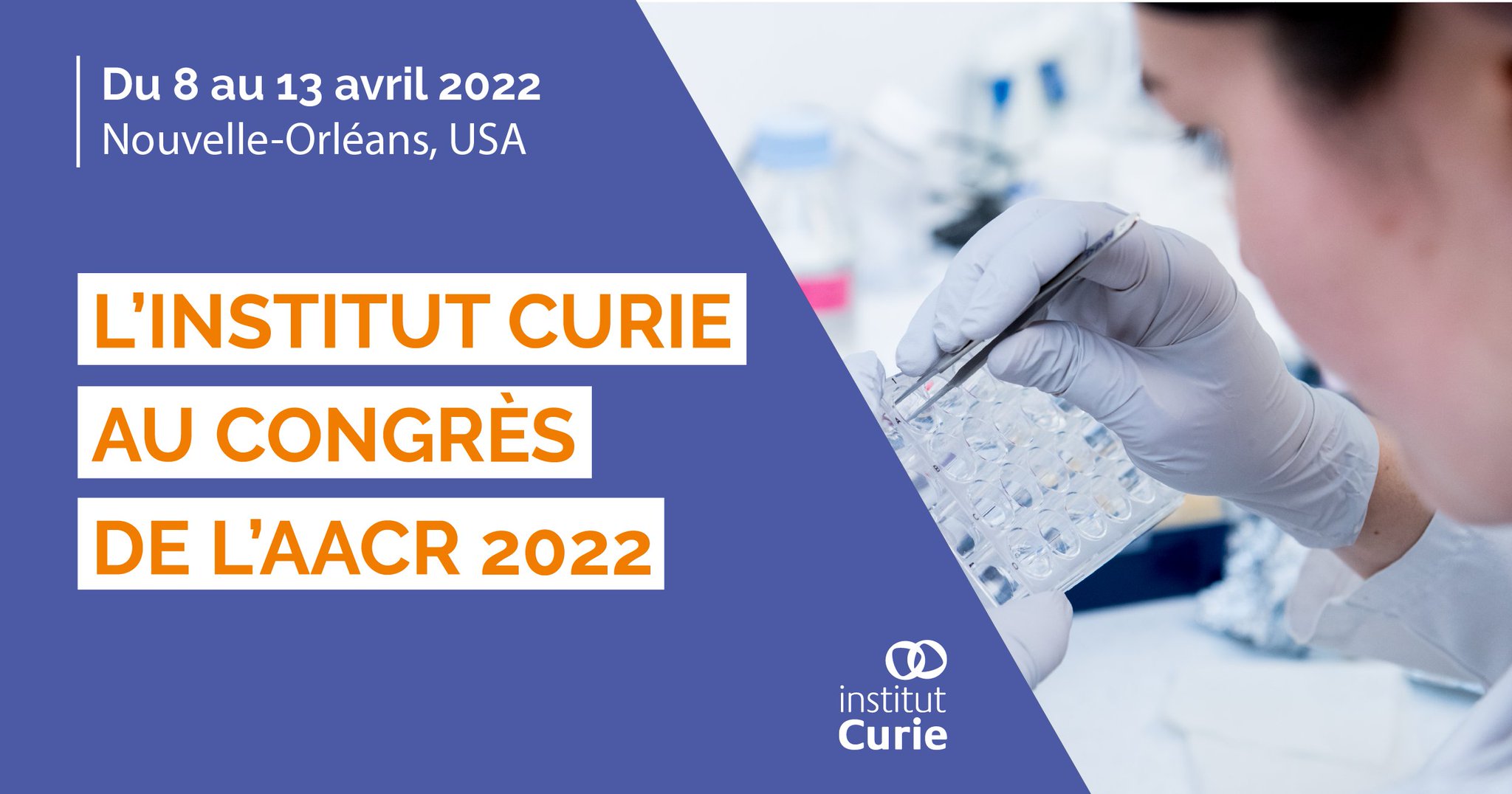Institut Curie on Twitter: Institut Curie on Twitter: