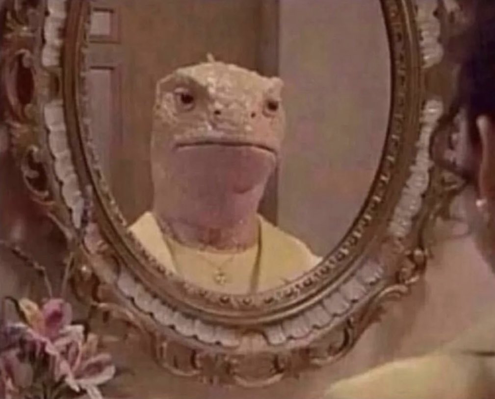 T.O. on Twitter: "I put her on @ethlizards and this is all she sees when she wakes up 😆 # ...