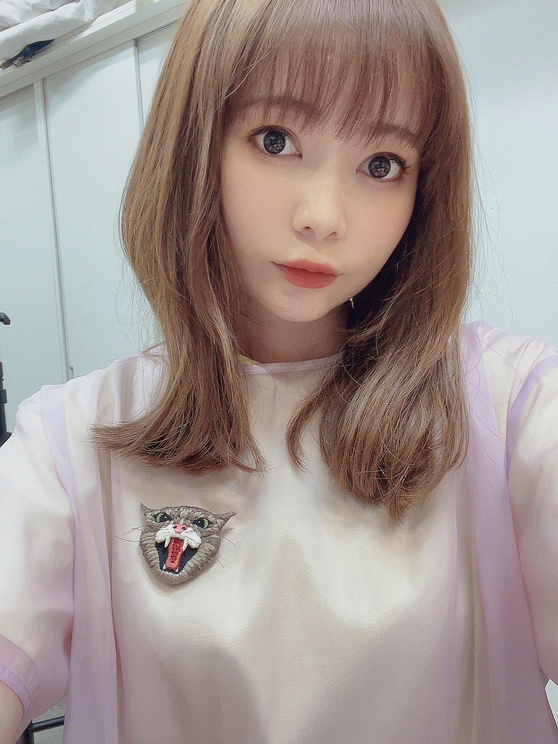 20周年の中川翔子🪐 on Twitter: "mmts アンサンブルTシャツ シースルーでおしゃれ！ https://t.co/hKa6q9A651 https://t.co ...