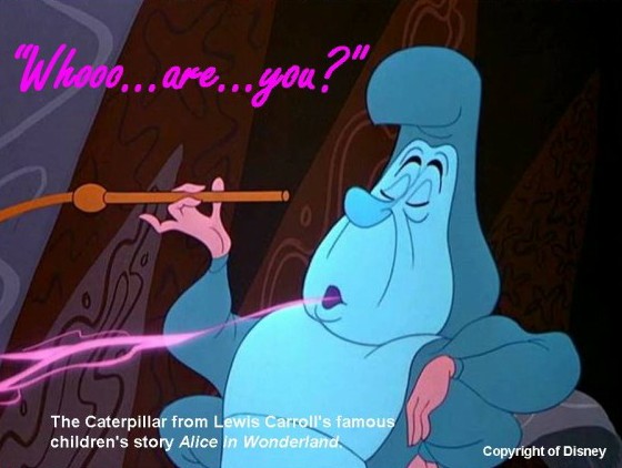 Alice In Wonderland Disney Caterpillar Who Are You