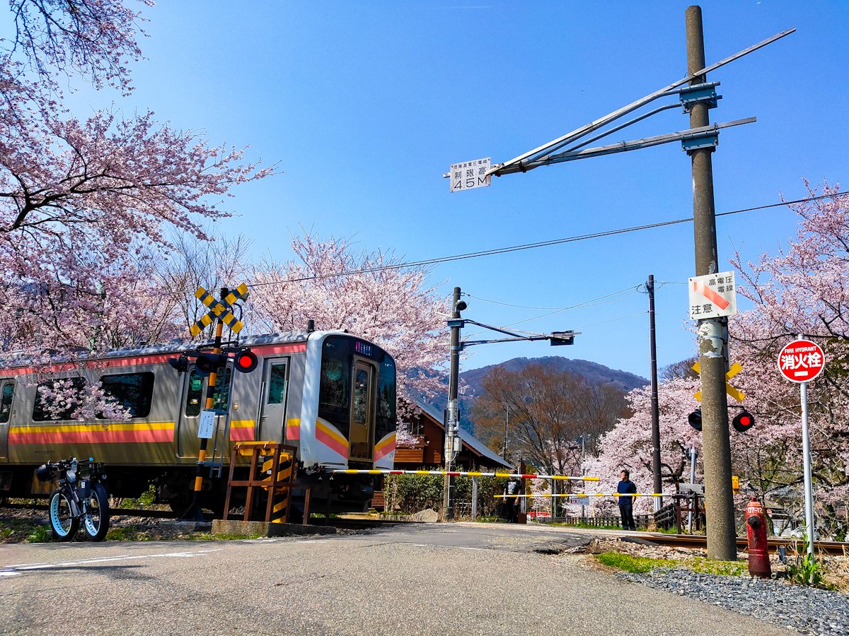 j-rakuda on Twitter: "🌸春満載の弥彦からは以上です #弥彦線 https://t.co/dHnVFBqPGB" / Twitter