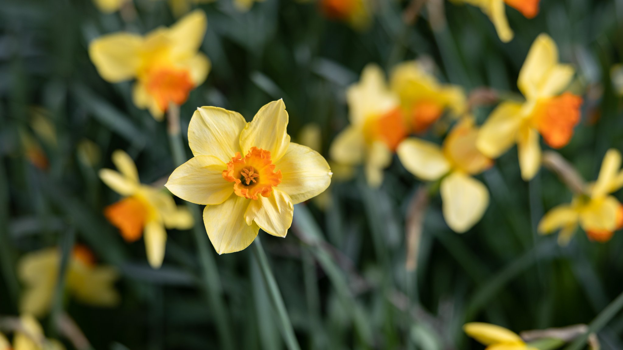 Kent’s History and Heritage – working together | Centre for Kent ...