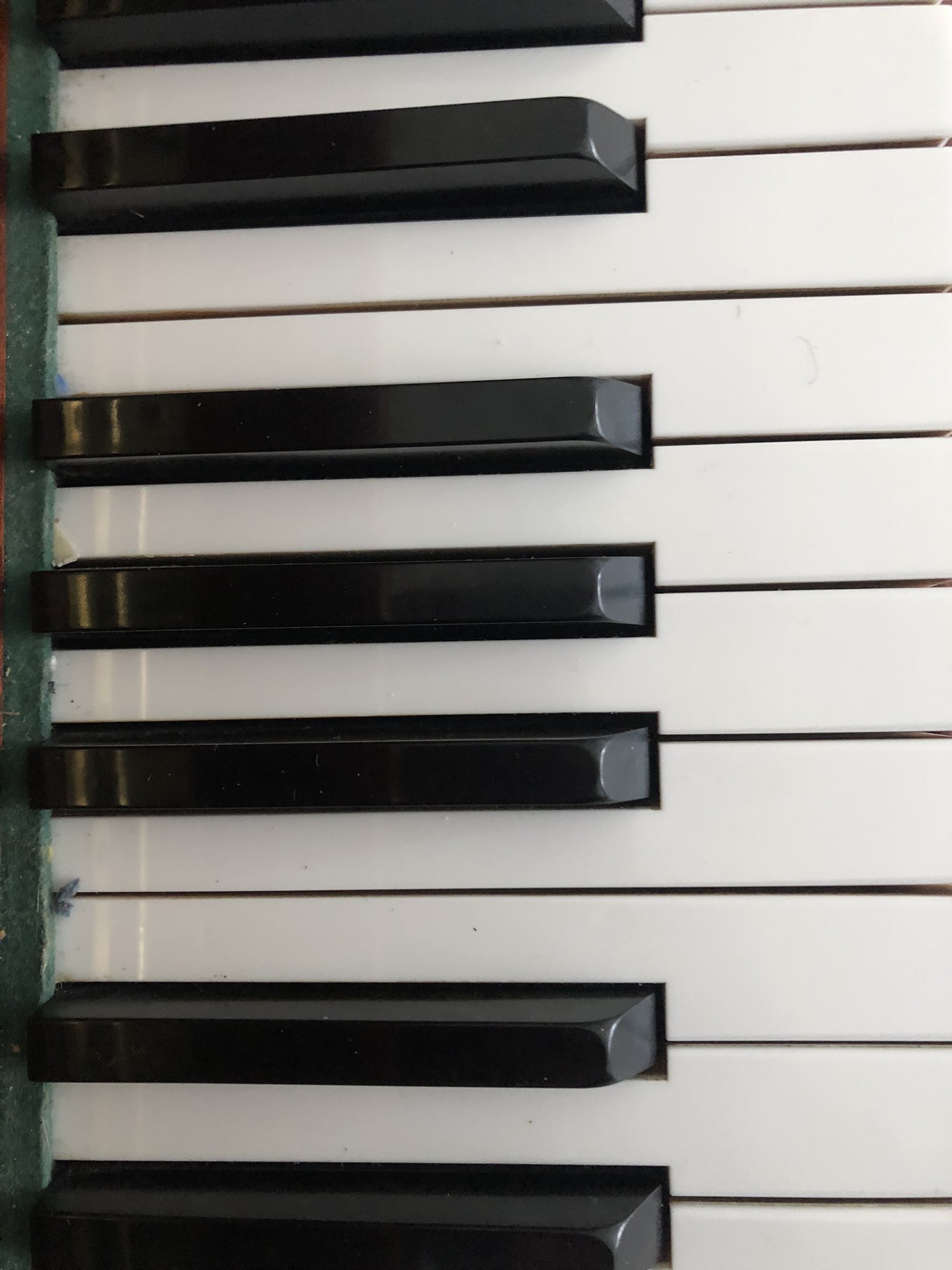 Colorful Piano Keys Tumblr