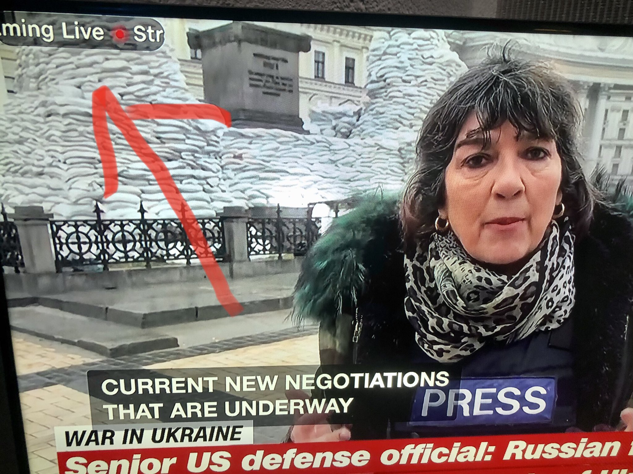 Joe Bel Bruno (@JoeBelBruno) / Twitter