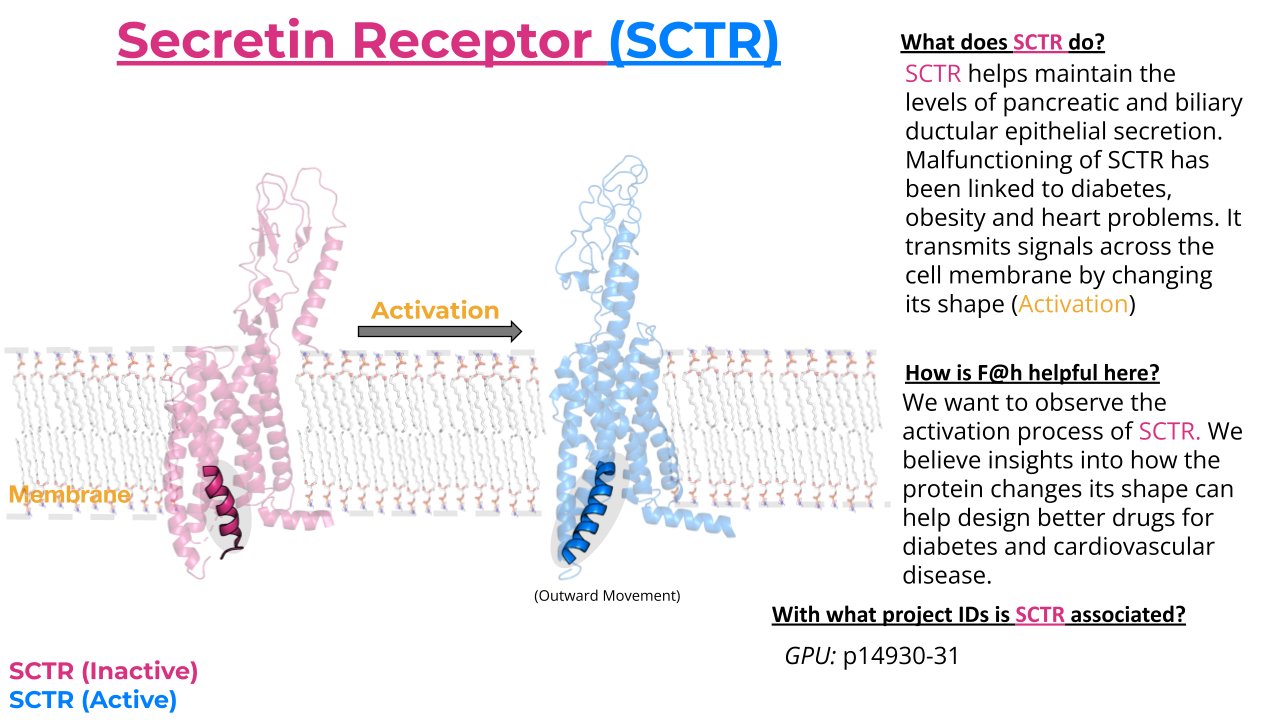 Folding@home on Twitter: "Today's #FAHMeetTheProteins focuses on the secretin receptor (SCTR ...