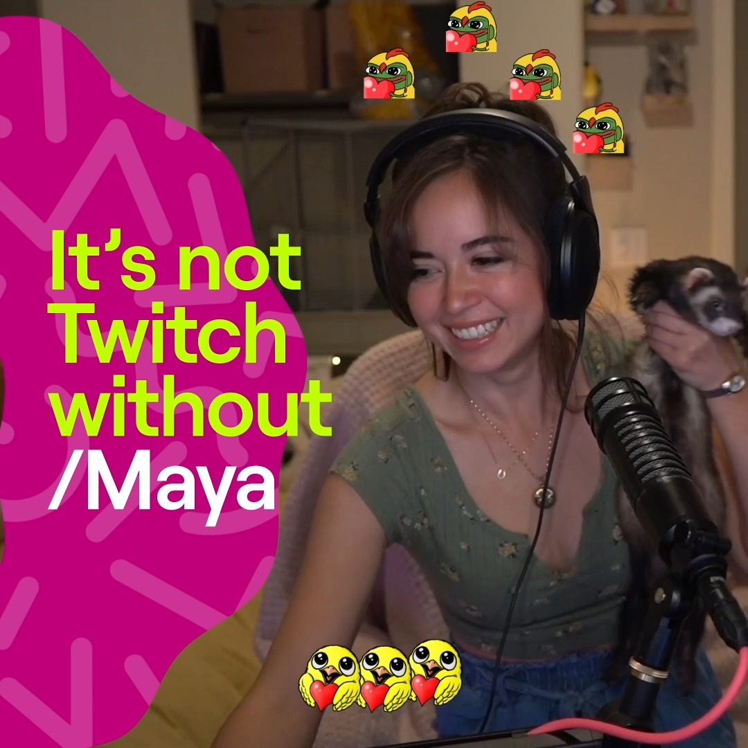Parrots, owls, falcons…ferrets? Enjoy the wild side with @mayahiga this ...