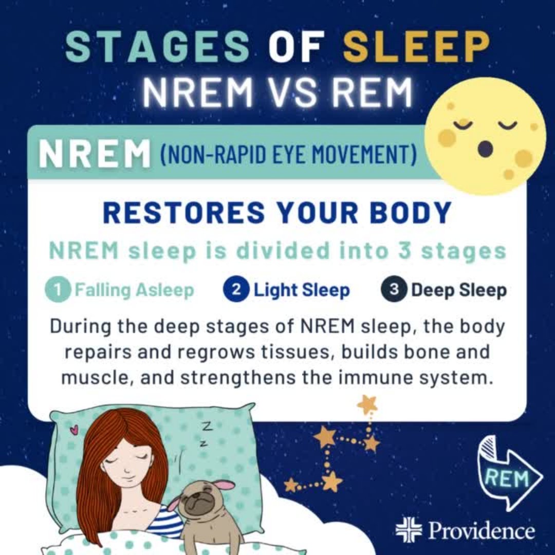 Stages Of Nrem