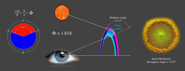 The Number Wrote by the 'Hand of G-d' (137) thREAD🧵 Ever since it's ...