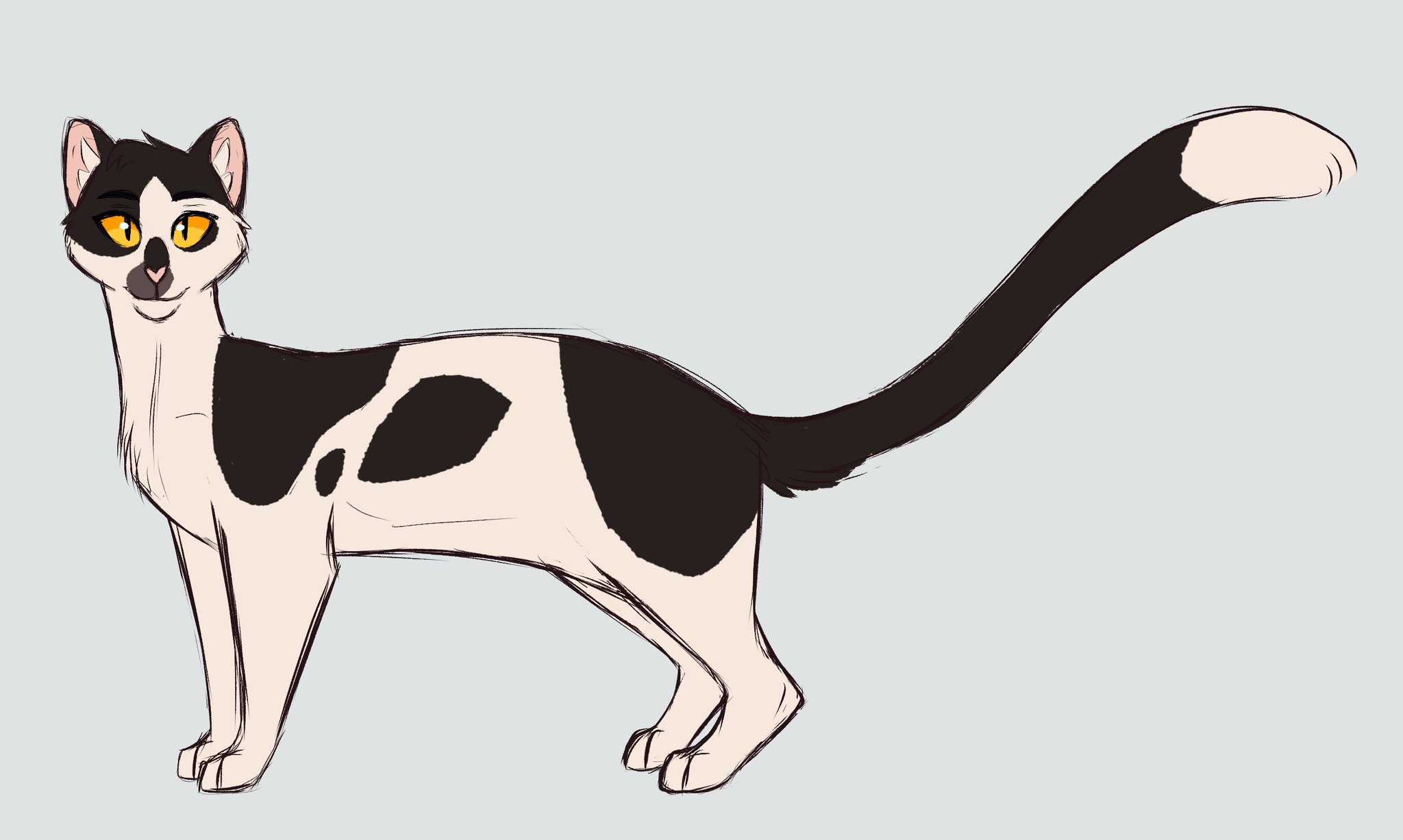 Warrior Cats Patchpelt