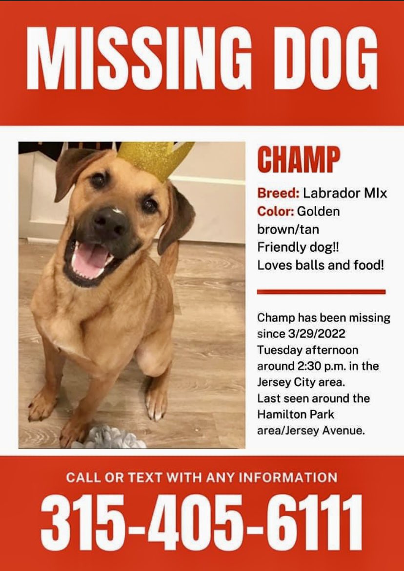 Keith Olbermann on Twitter: "NYC AREA MISSING DOG ALERT: Champ is lost in Jersey City, near ...