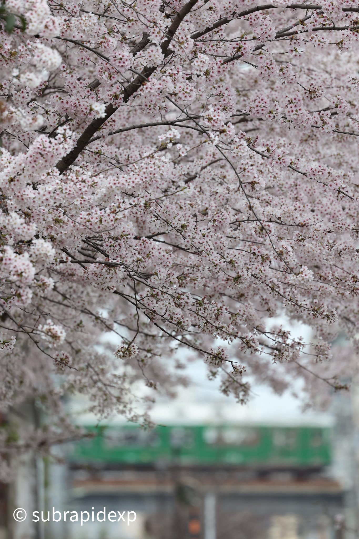 区間快速-SUB. RAPID EXP. on Twitter: "2022.3.30 (1)007-112レ 東急1000系1013F (2)003-111レ 東急7000系7107F (3 ...