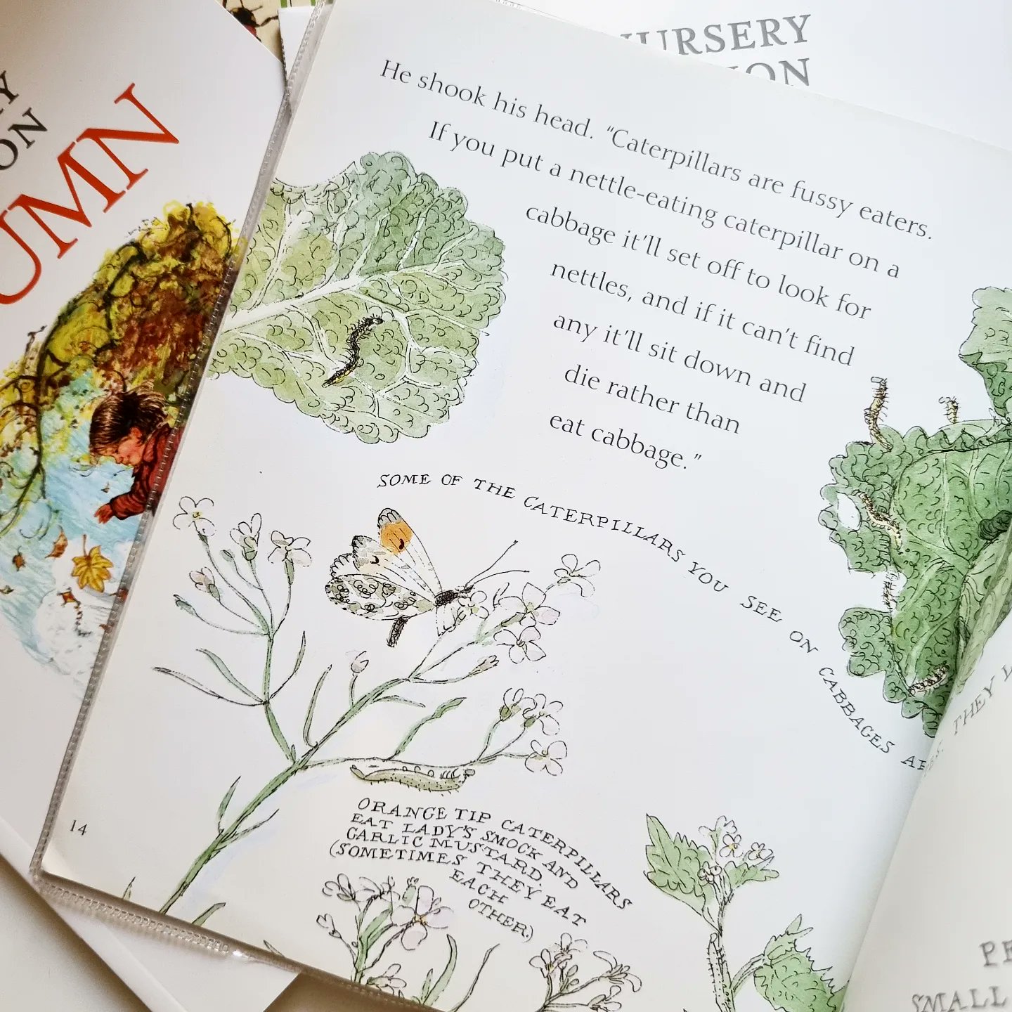Sage & Cypress Books (@sage_cypress) / Twitter Sage & Cypress Books (@sage_cypress) / Twitter
