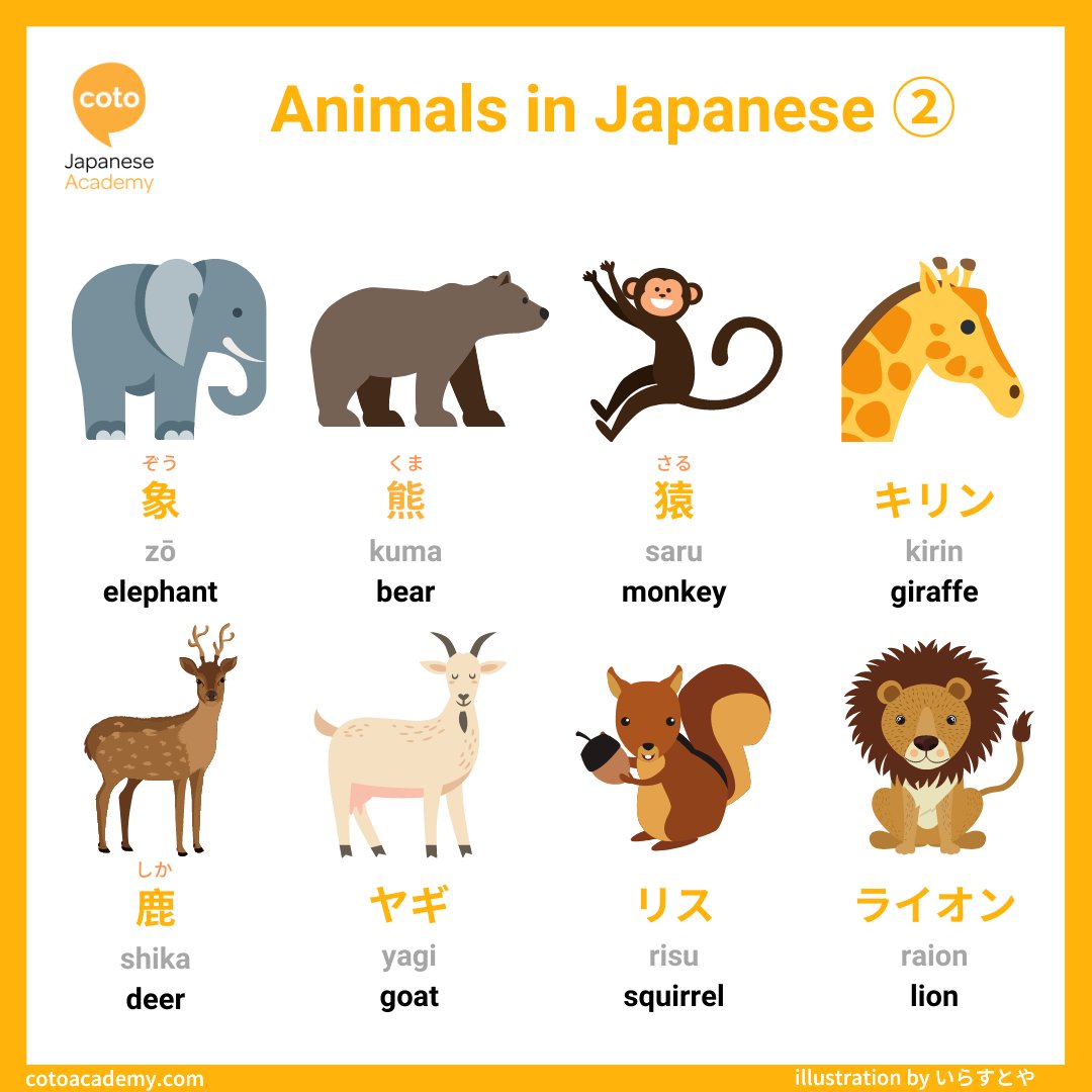 Coto Japanese Academy | Japan on Twitter: "皆（みな）さんは動物園（どうぶつえん）が好（す）きですか ...