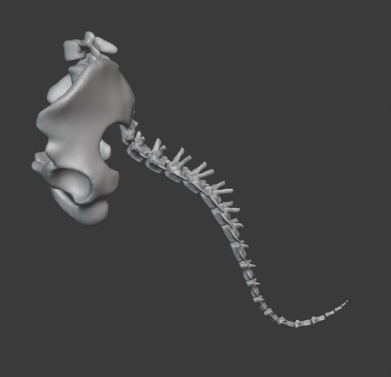 Human With Tail Real