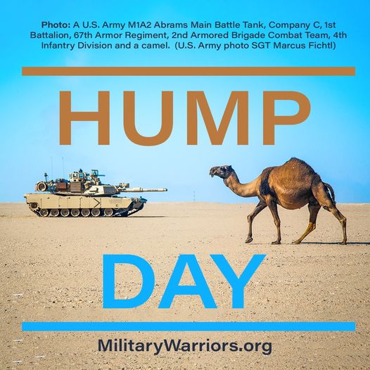 Camel Hump Day Soldiers Happy Hump Day! 🐪 Here Are Some Fun Facts