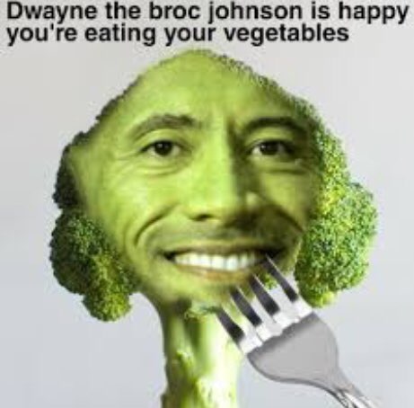 Funny Broccoli Memes Former Binance CEO CZ's Pet Broccoli Leads To 20K