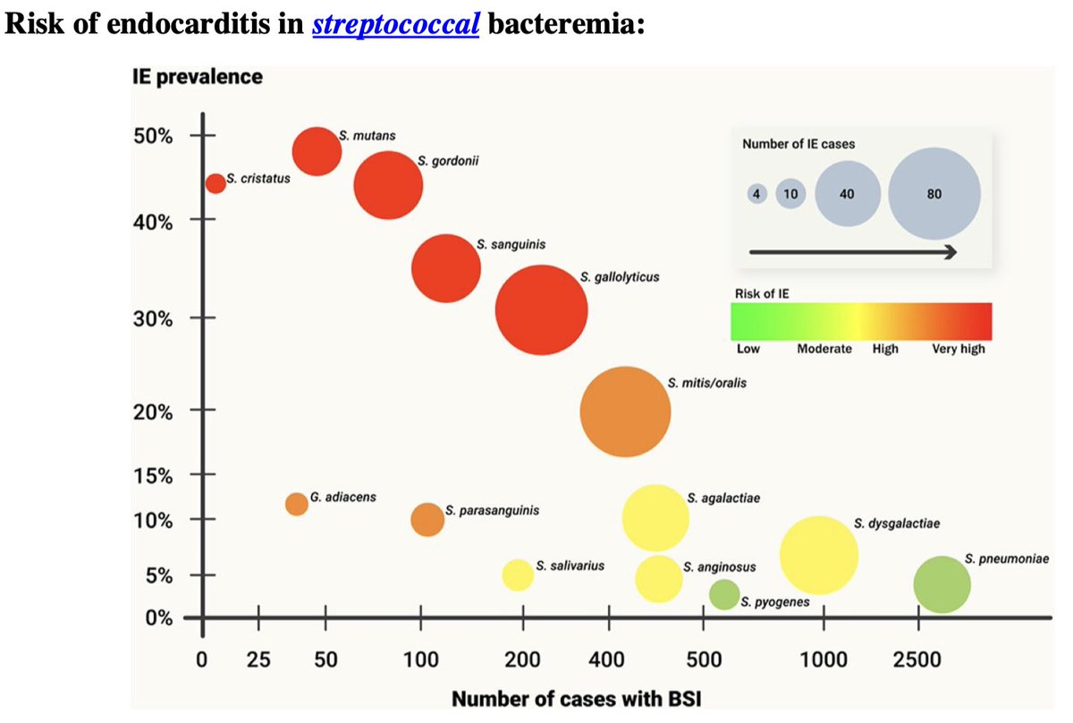 🧵 of favorite Endocarditis notes compiled! - Thread from Andrew Sanchez ...