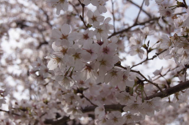 Aki Takeuchi(@noelsora) - Twilog (ツイログ)