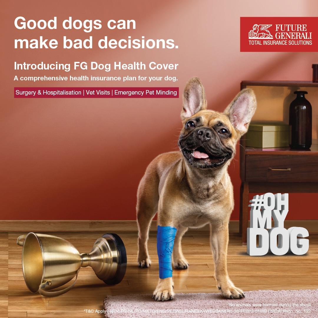 How Much Is It For Dog Insurance