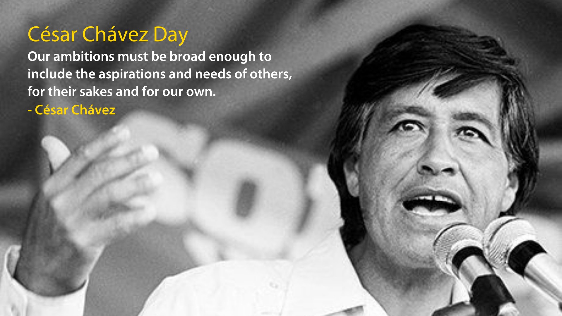 Cesar Chavez Quotes