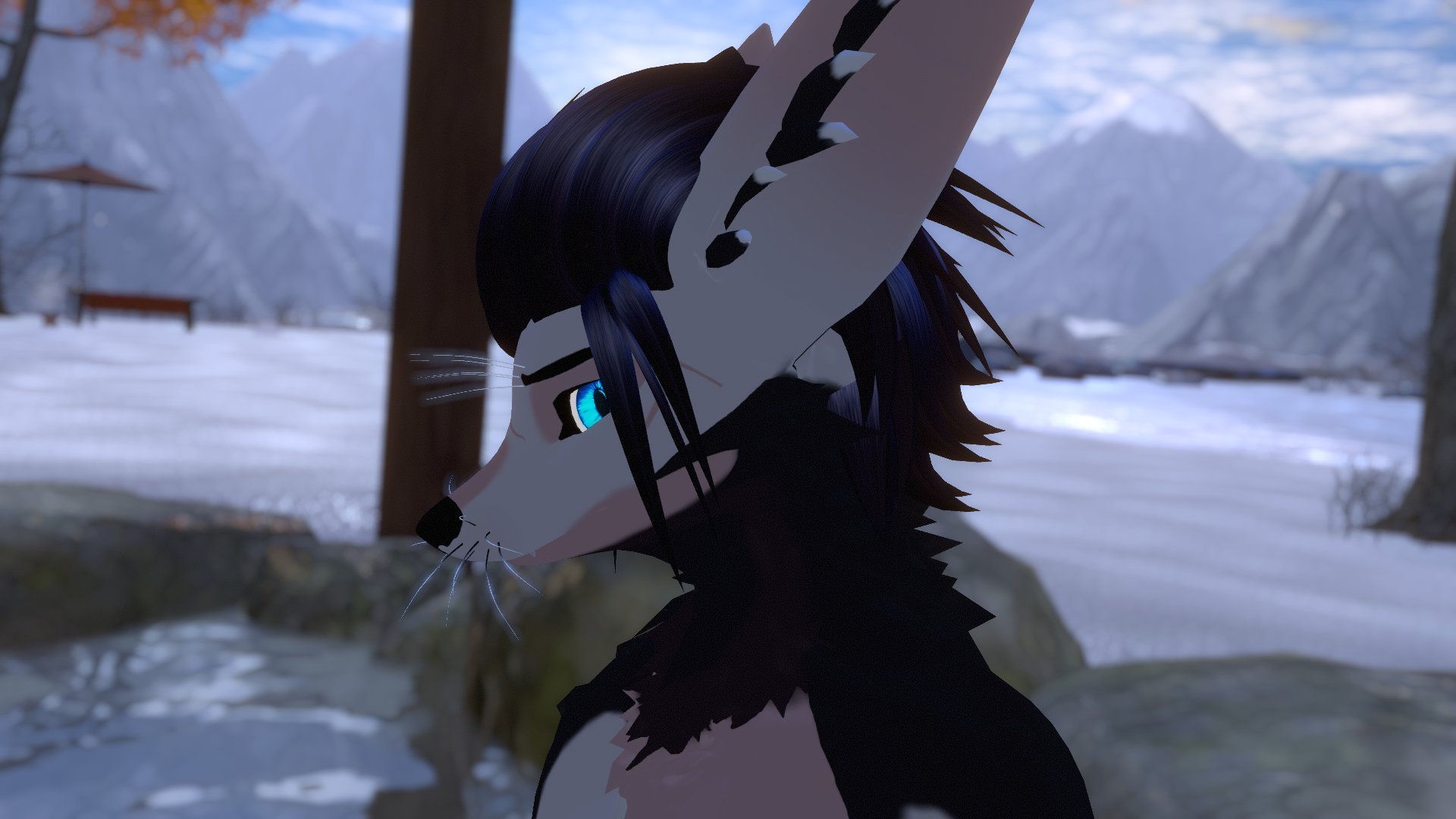 🍁 AidenFur 🍁 (@AidenFur) / Twitter