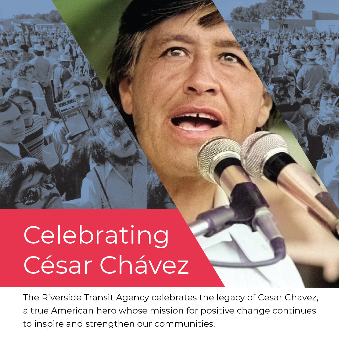 Cesar Chavez An American Hero