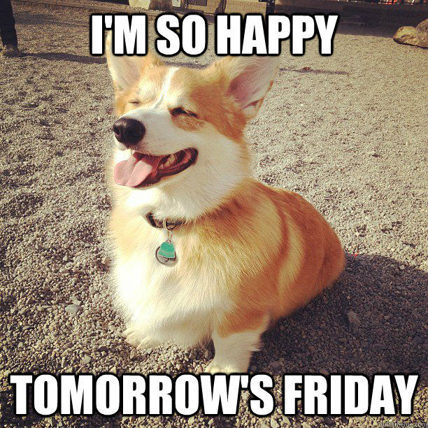 Happy Friday Corgi