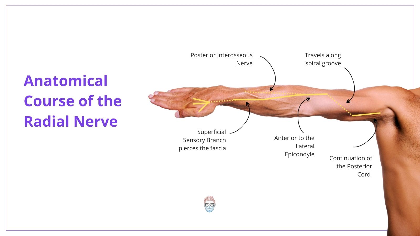 Posterior Interosseous Nerve Palsy