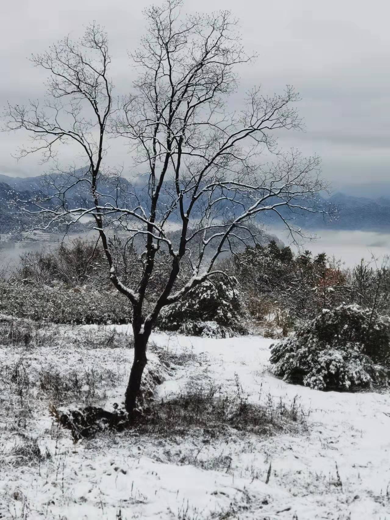 SWD Water Solution (@SWD_Aquatech) / Twitter