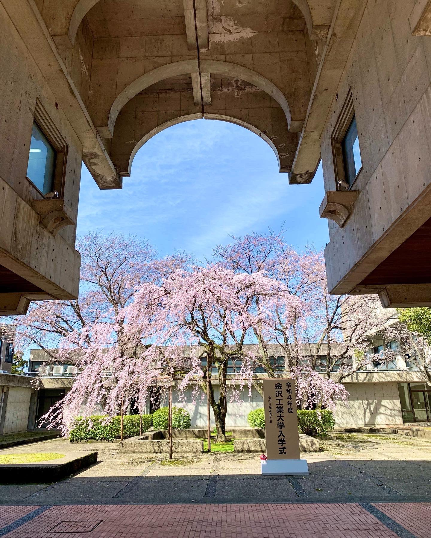 KIT EAGLE'S FUN【公式】 on Twitter: "入学式の撮影スポットが複数設置されております📷桜もいい感じです🌸 https://t.co/r7IteFViYT #金沢工業 ...